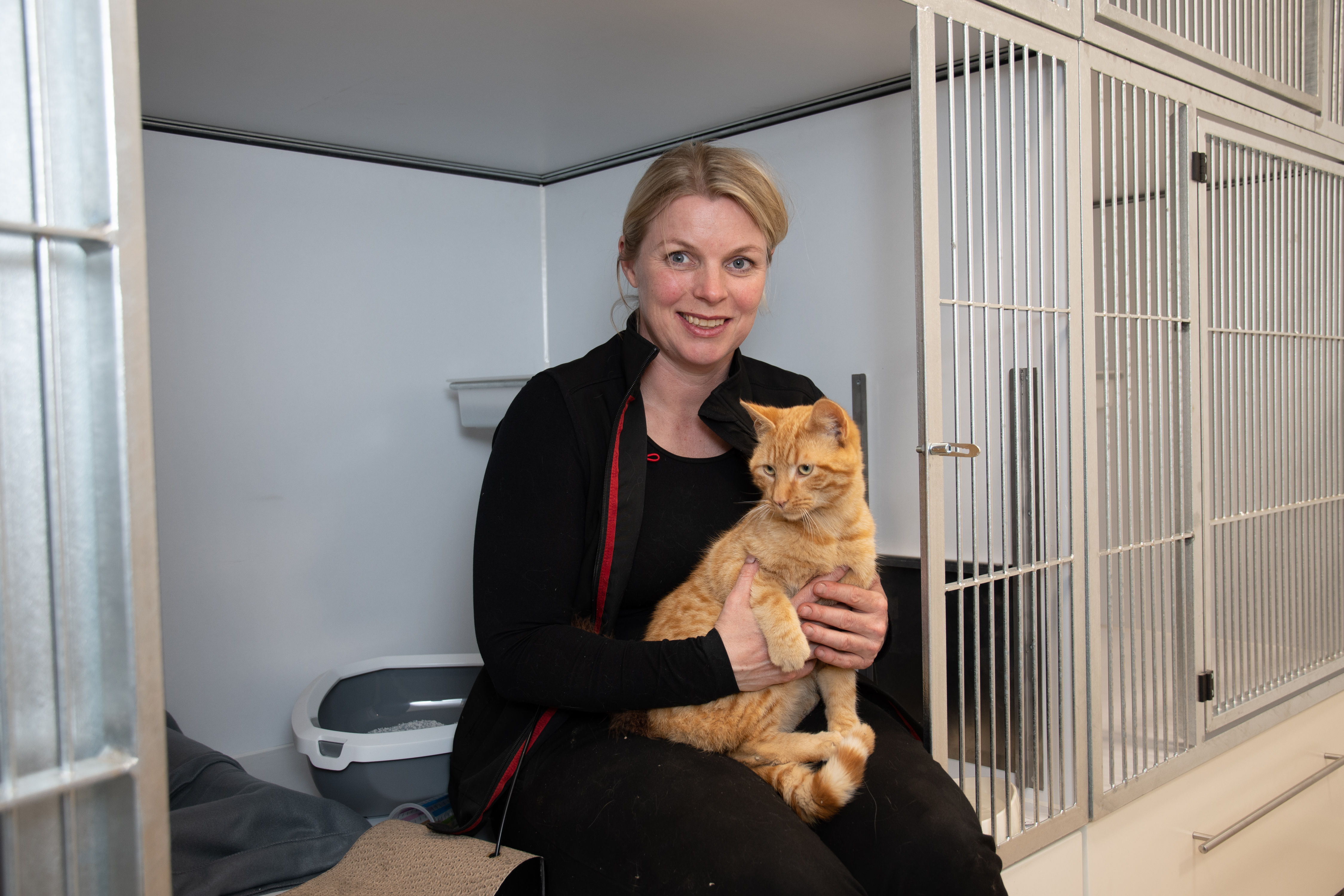 1 år og 1200 katte senere | Dyrenes Beskyttelse